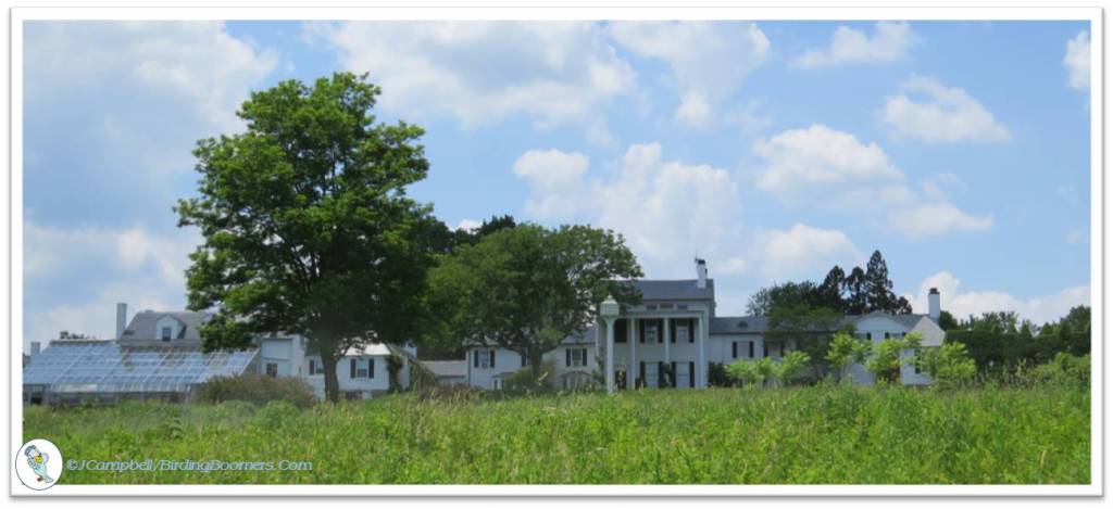 A Man and His Manor – Harvey S. Ladew – Birding Boomers
