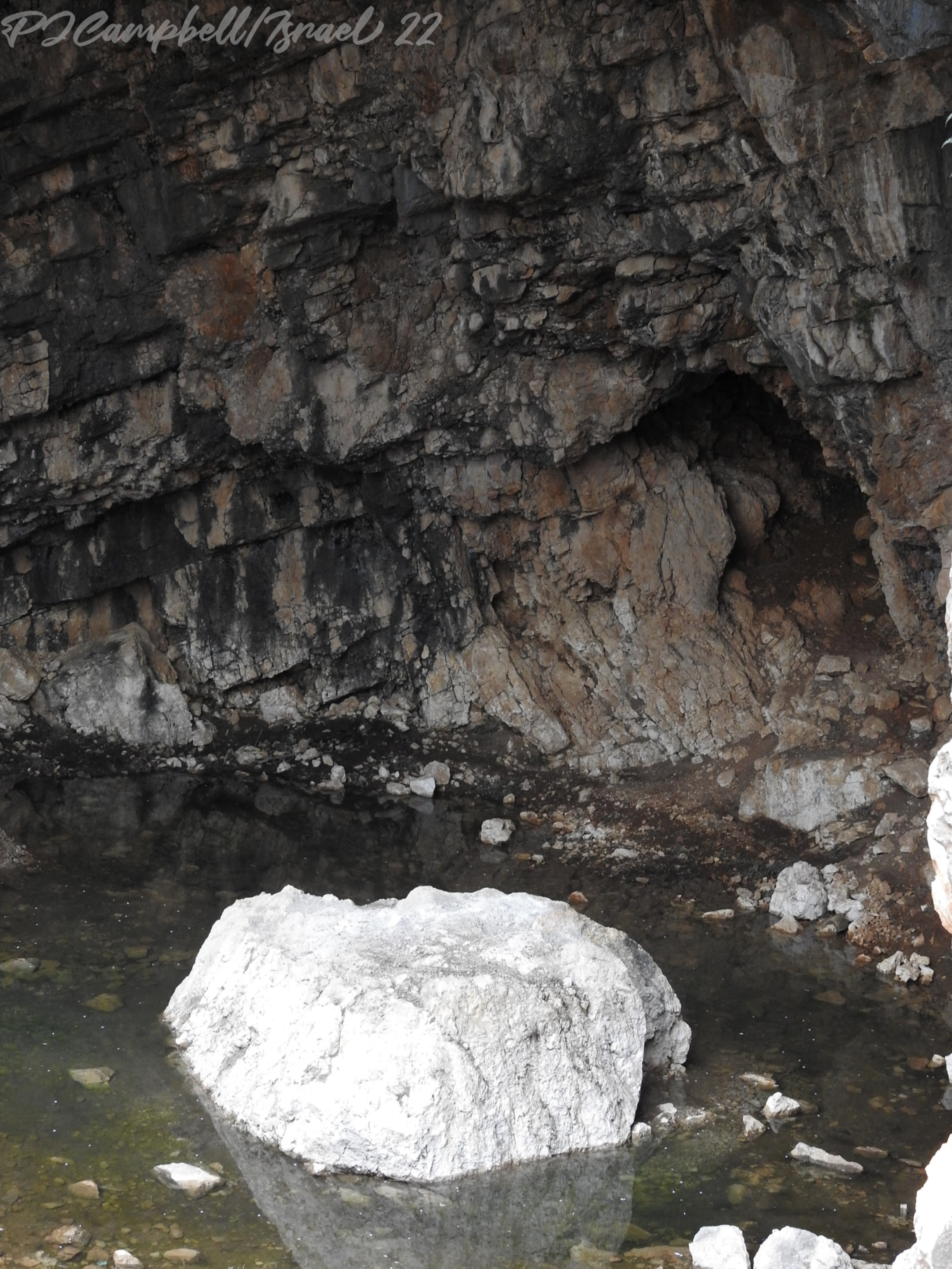 The Gates of Hell – Birding Boomers